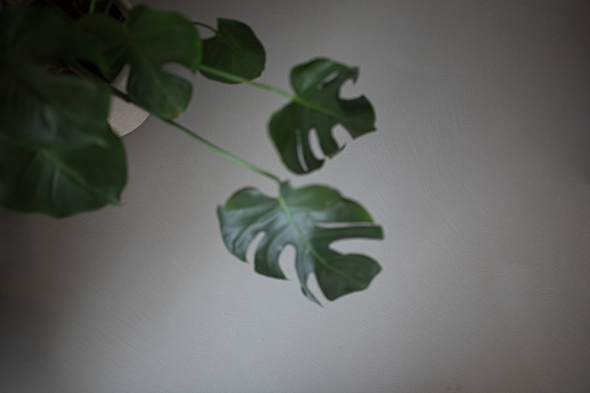 What to do if your resin floor coating gets damaged – Resingroup